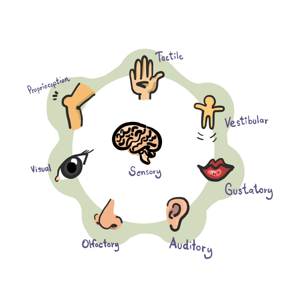 Sensory Connections HearSay Speech And Hearing Centre