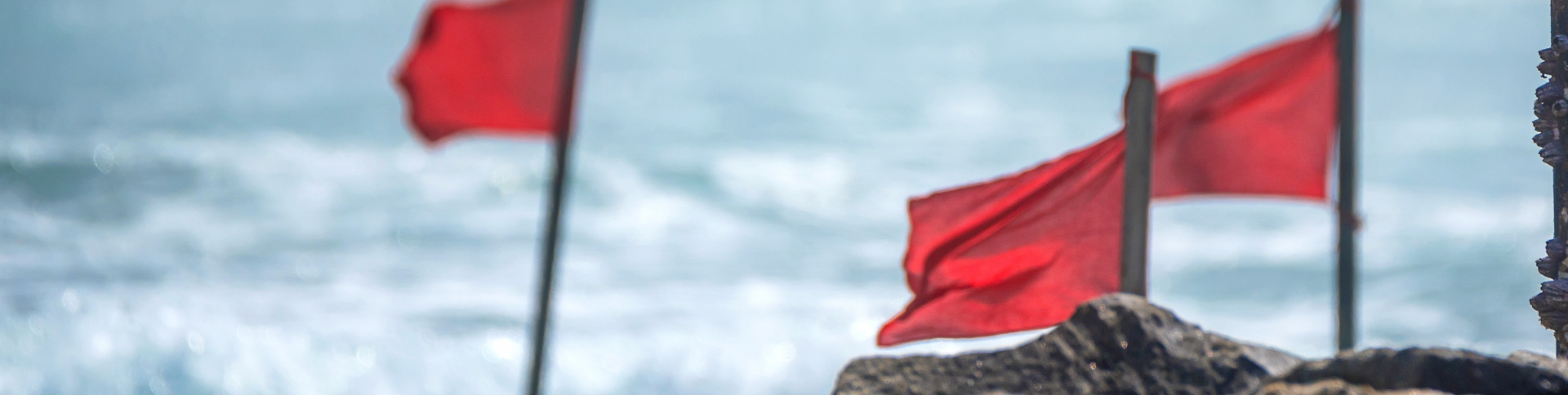 Red Flags for Autism – HearSay Speech and Hearing Centre